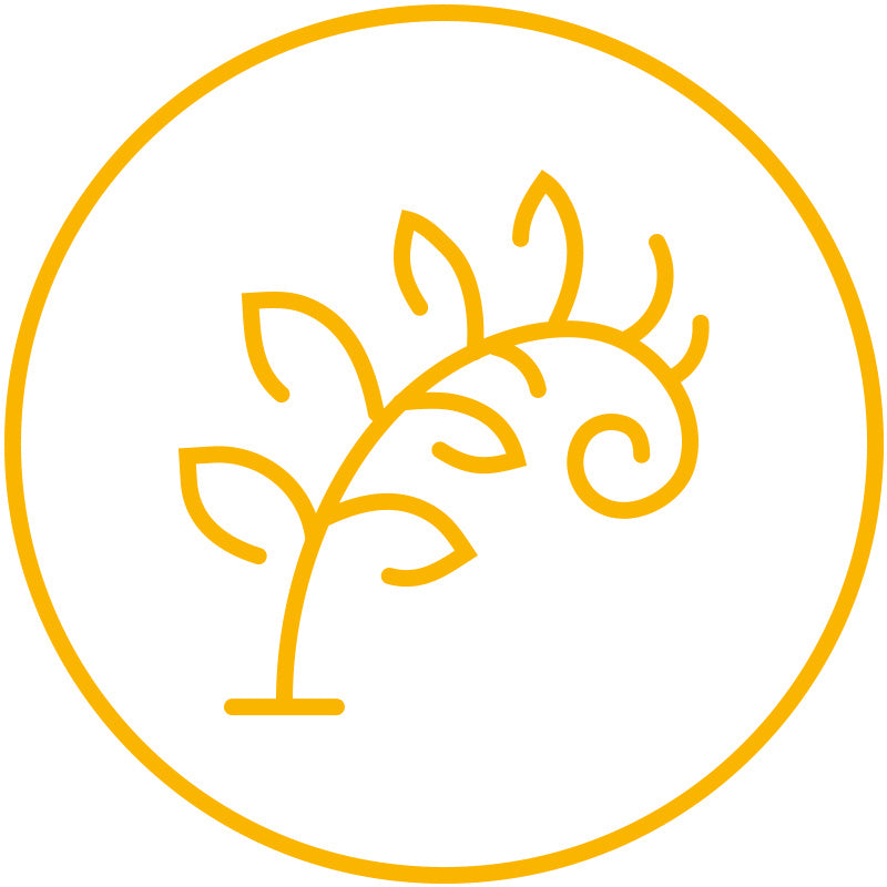 HELIOCARE UK OFFICIAL SITE | Daily Sun Protection From Cantabria Labs